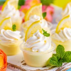 Lemon Pudding Shots Recipe (with Limoncello) - This Silly Girl's Kitchen