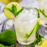 Best Large Batch Mojitos Recipe