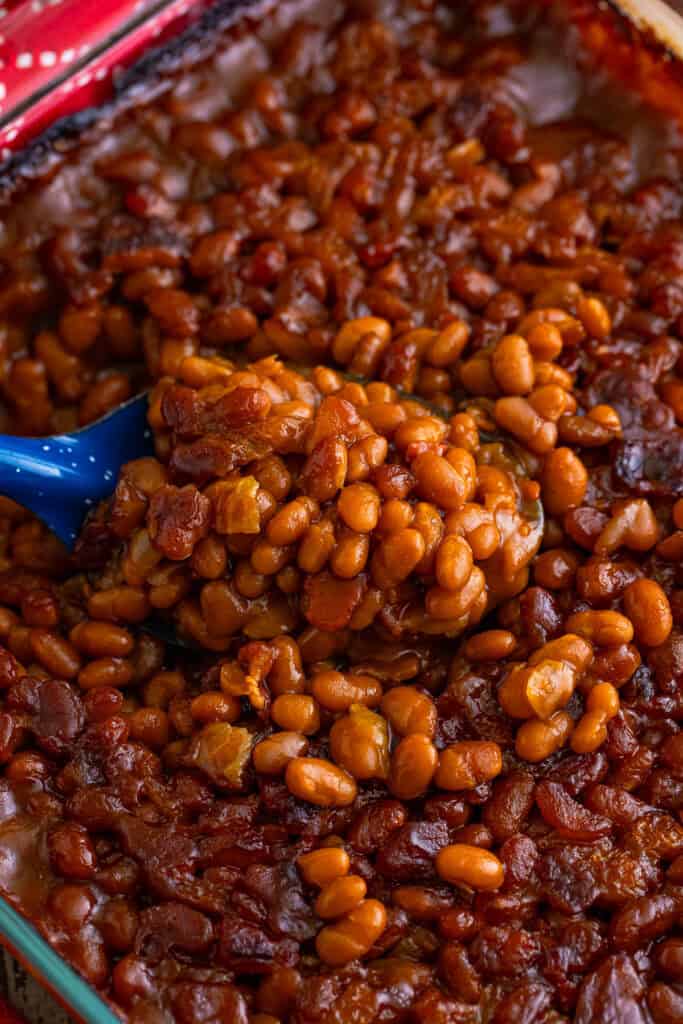 Best Baked Beans Recipe with Salt Pork - This Silly Girl's Kitchen